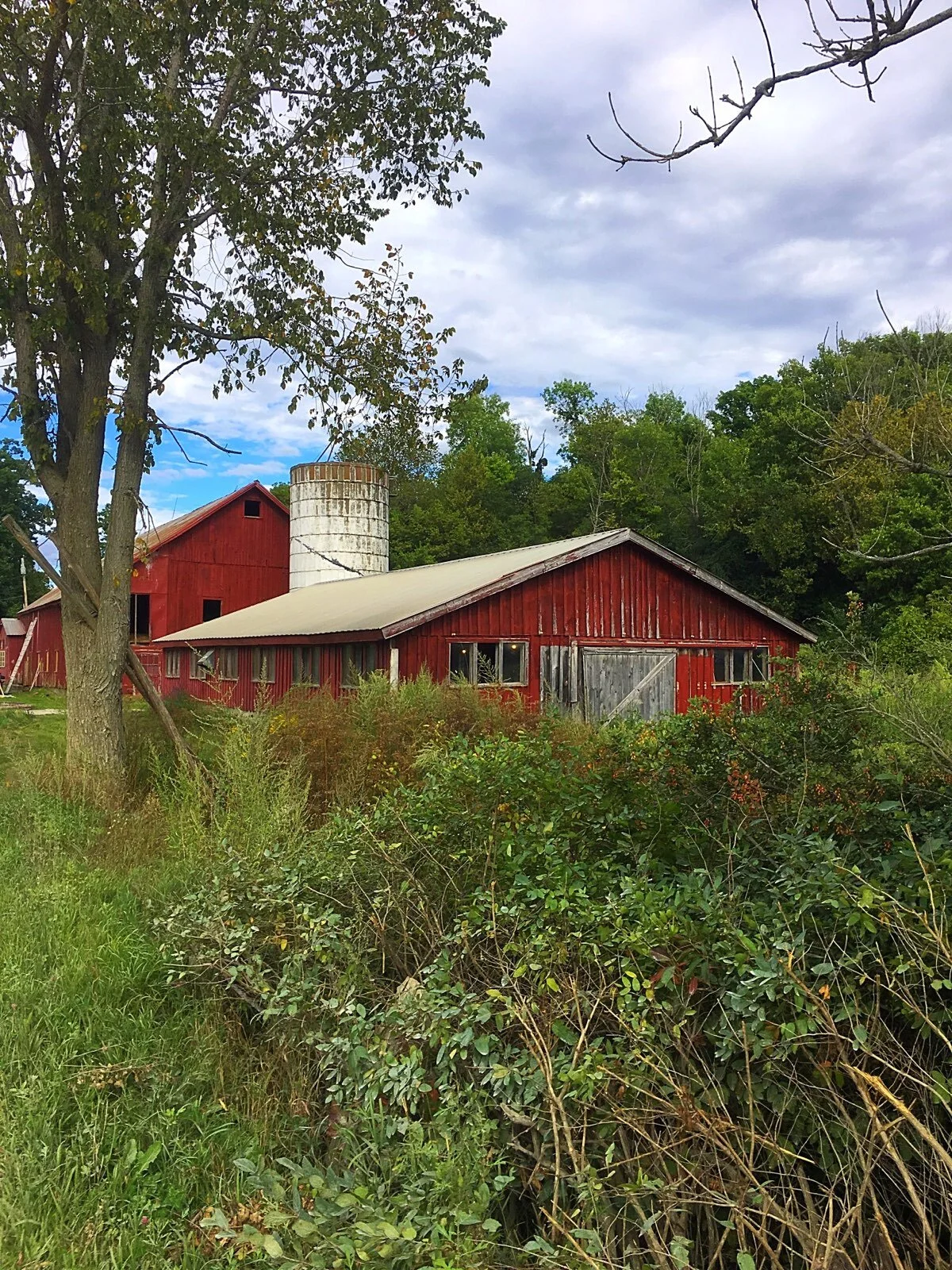 Construction Gallery — THE BARN OPERA