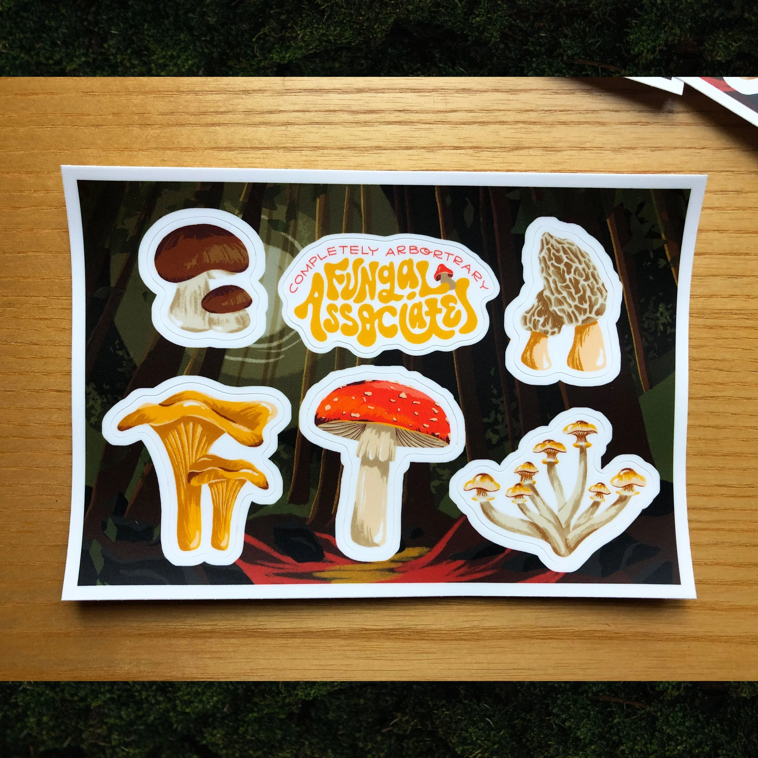 Merch — Completely Arbortrary