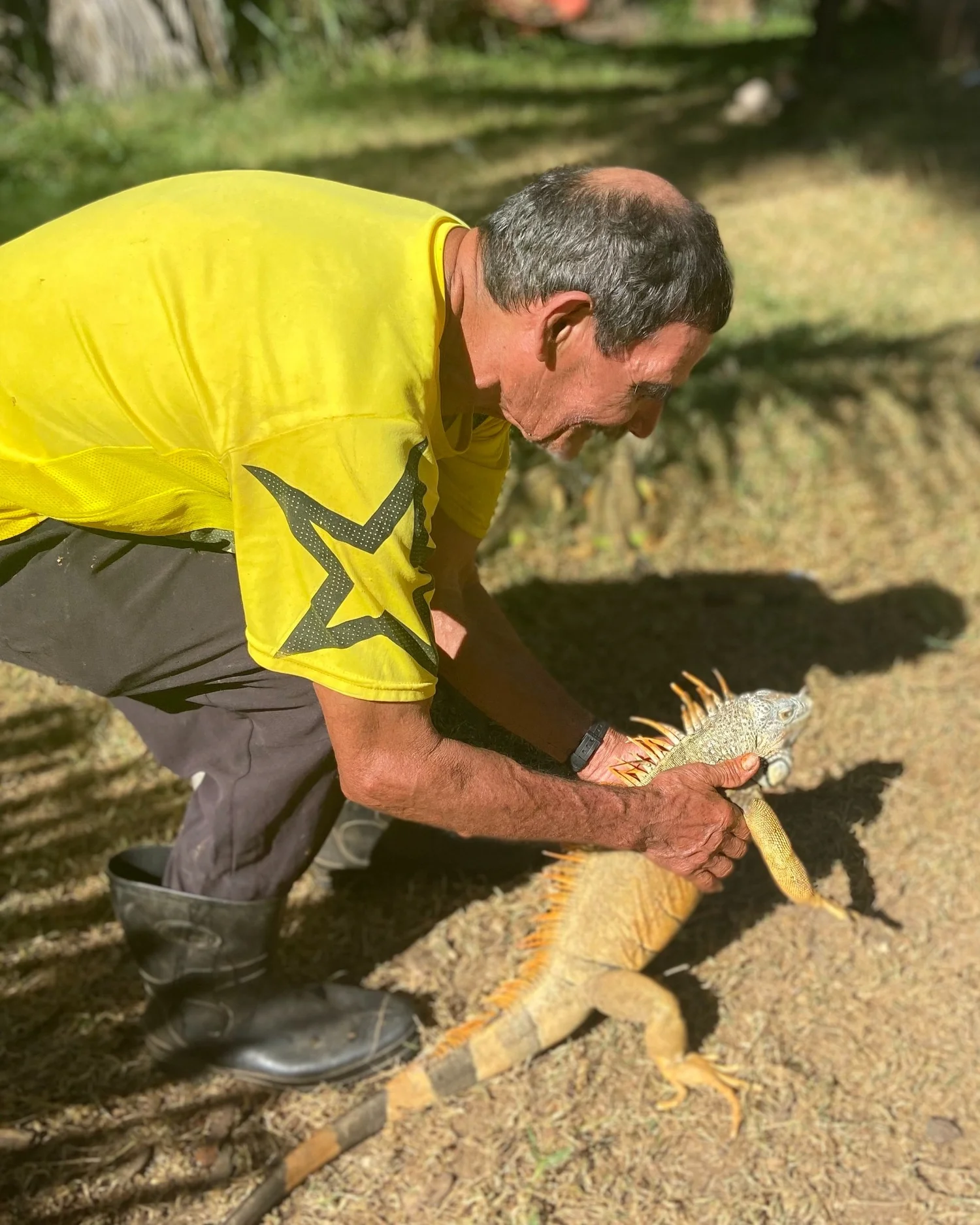 Iguana Man — Kate Hamberger