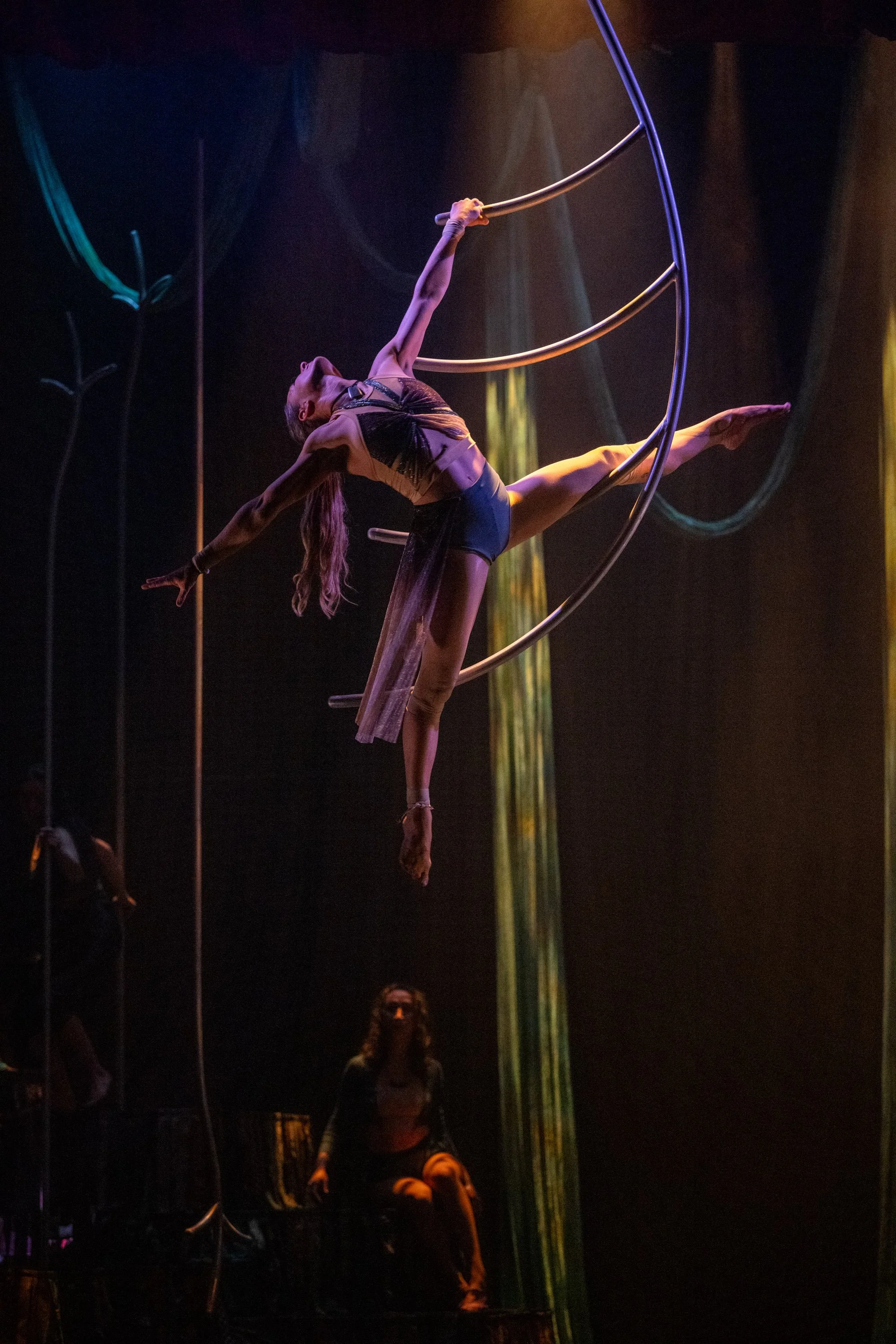 Programme — Te Tangi a Te Tūī