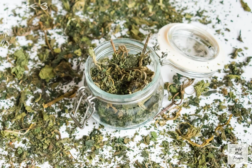 De lekkerste brandnetelthee zet je zelf! — 🌿 Lieve Galle