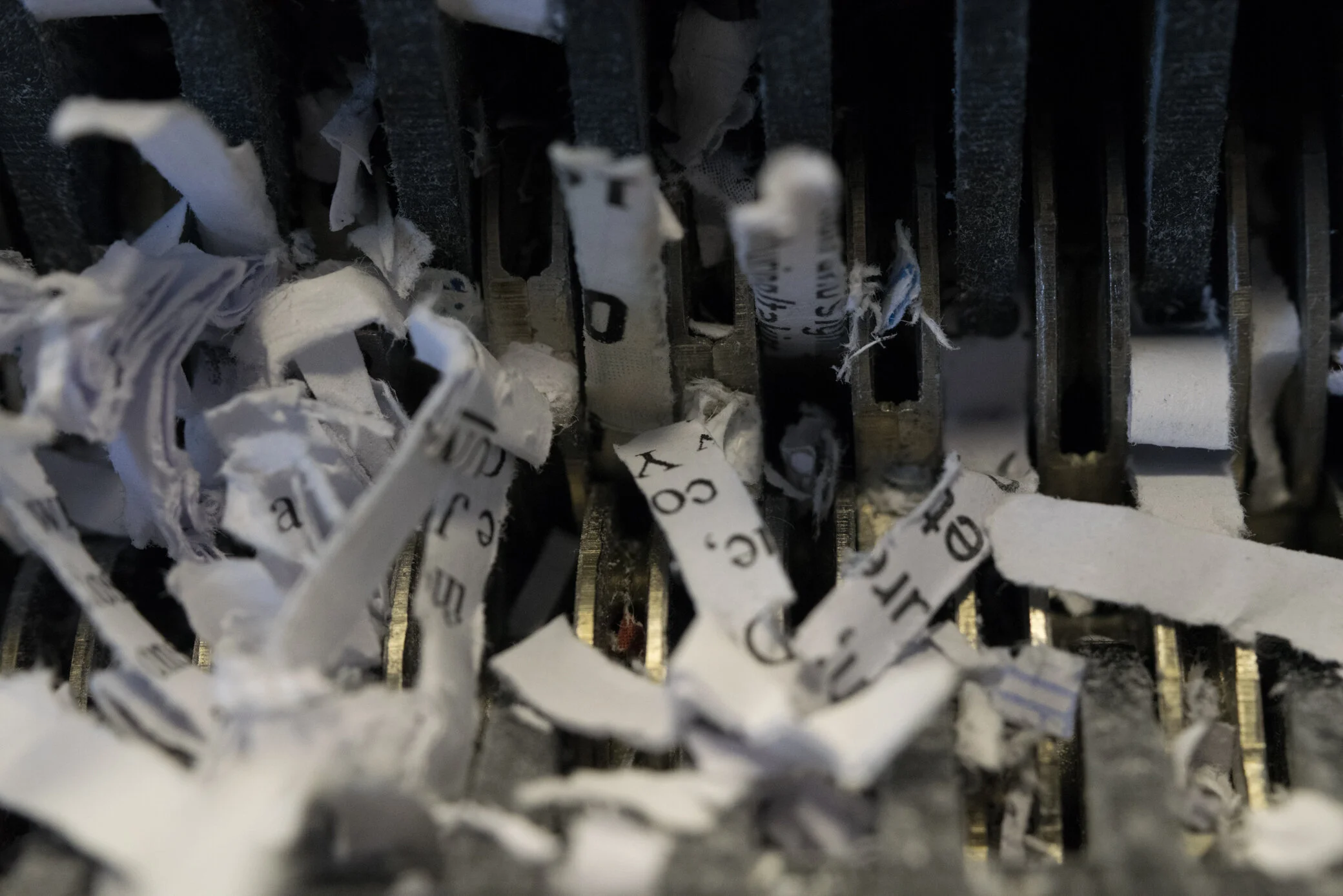 Macro Shots — Martin Dust Photography