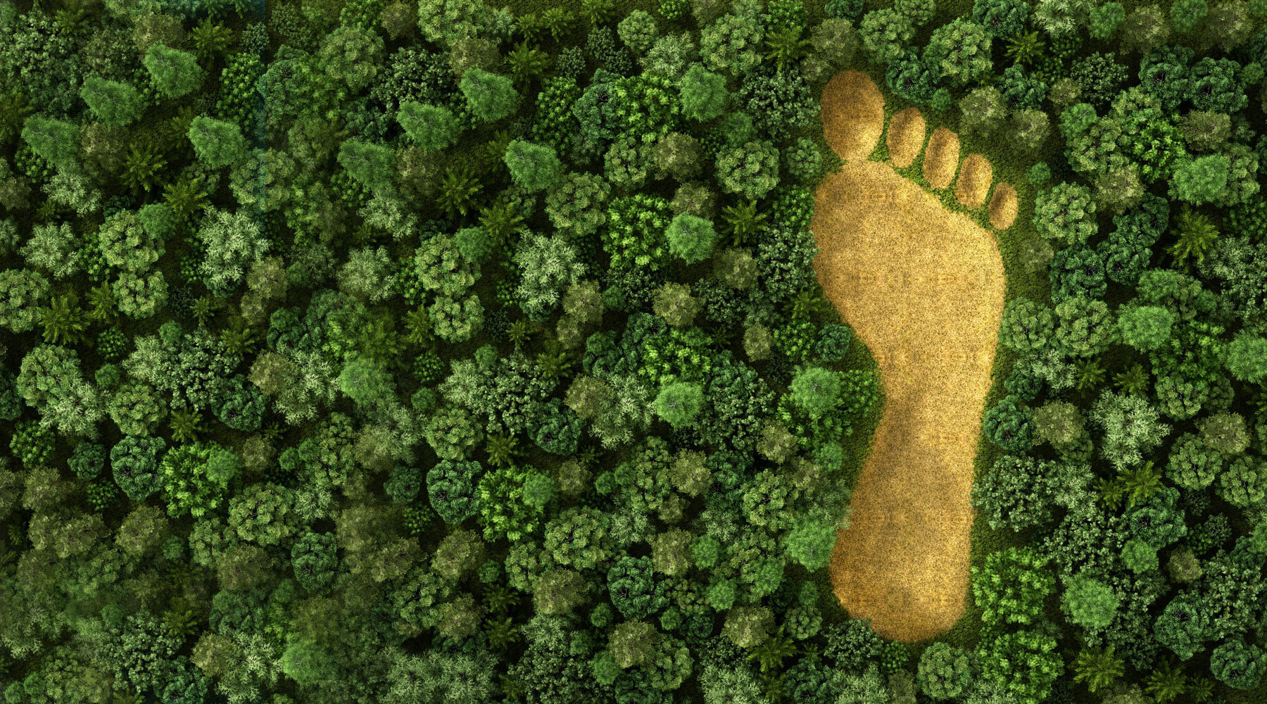 General 1 — BSG Office Interiors