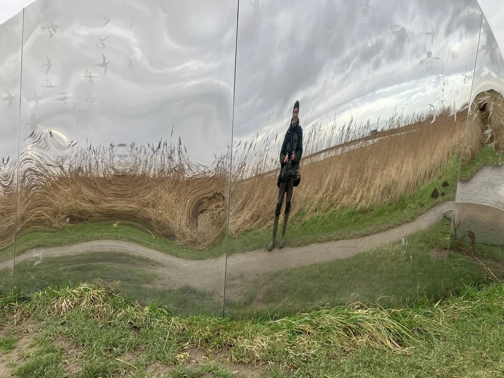 A day at Frampton Marsh RSPB — Graham Catley Photography