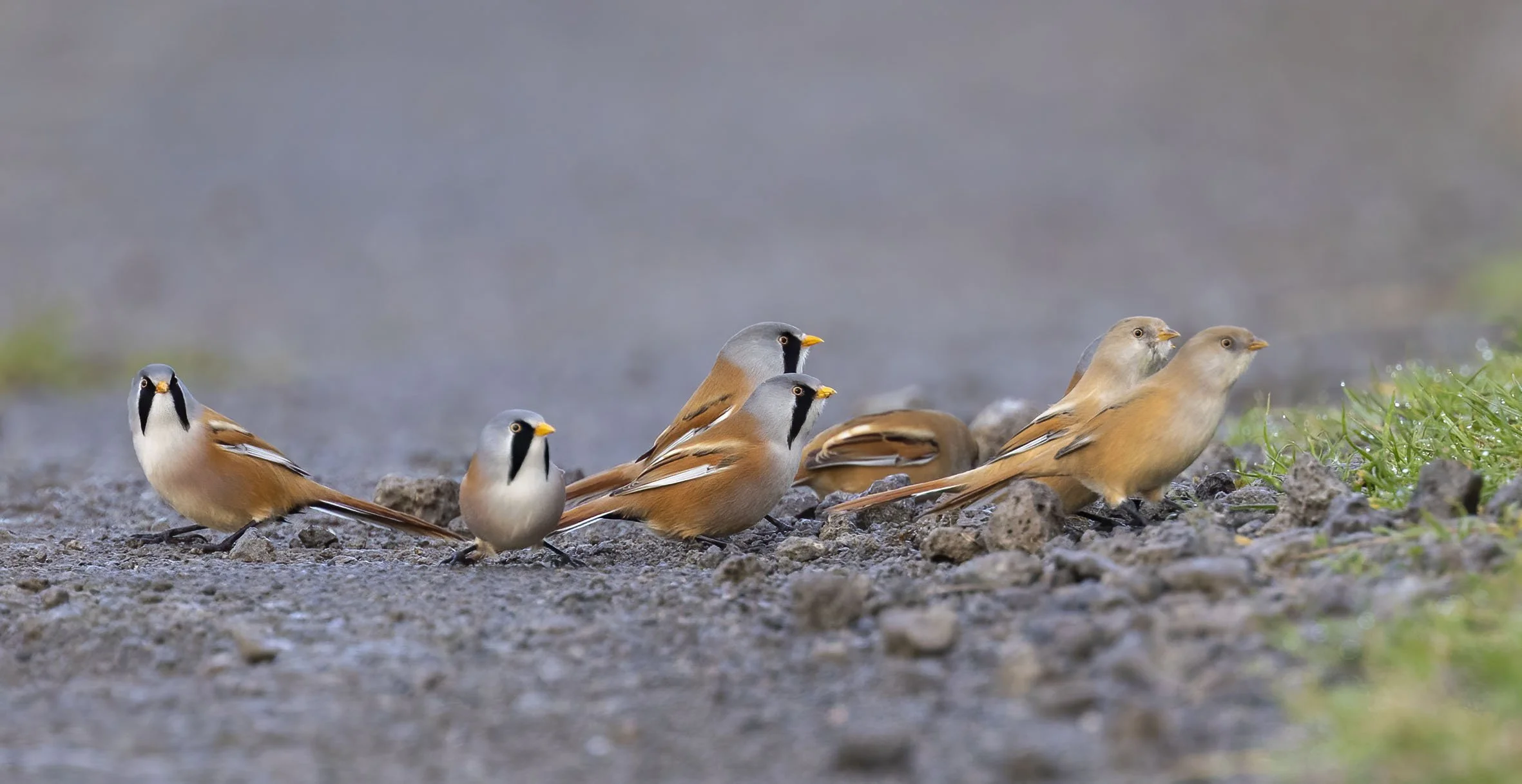 Alkborough Flats — Graham Catley Photography
