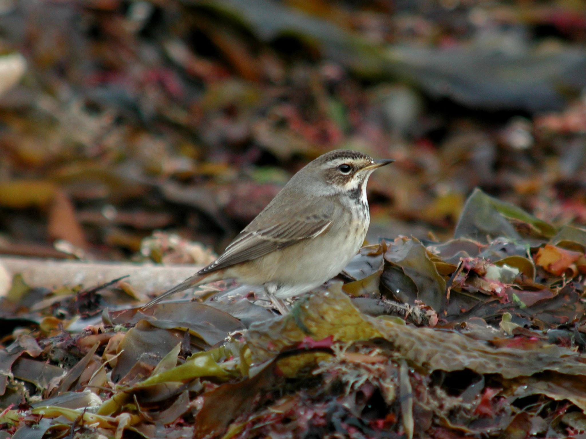 My photographic addiction — Graham Catley Photography