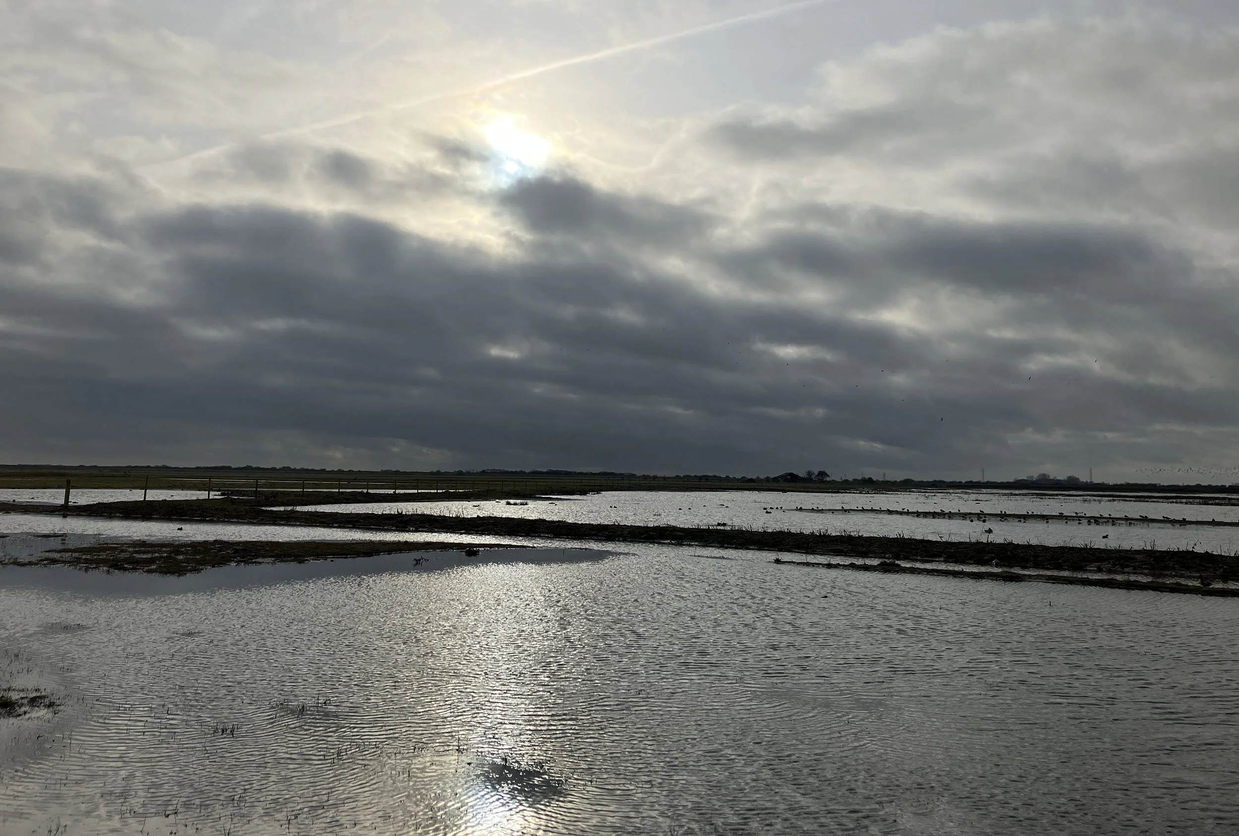 A day at Frampton Marsh RSPB — Graham Catley Photography