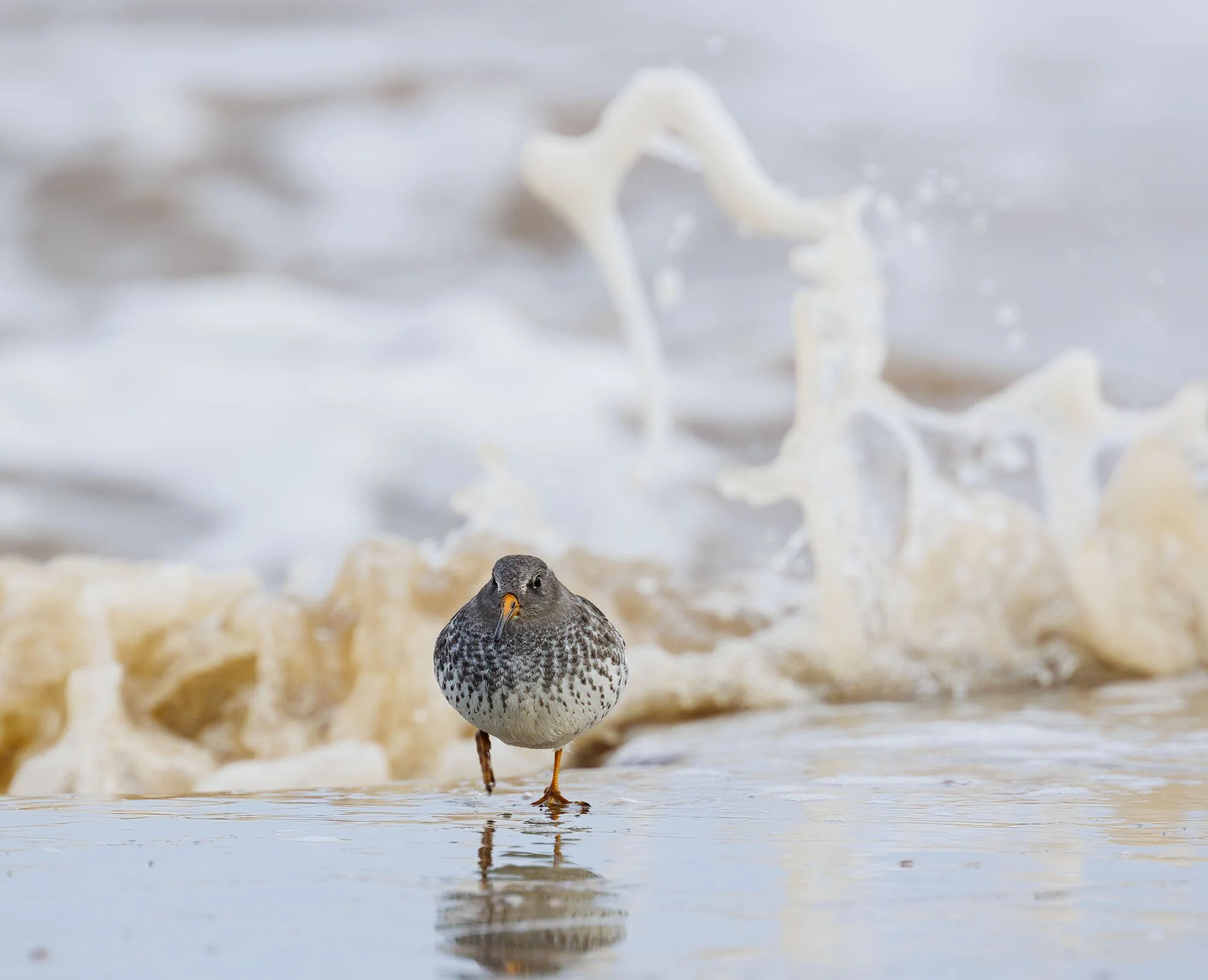 Latest — Graham Catley Photography