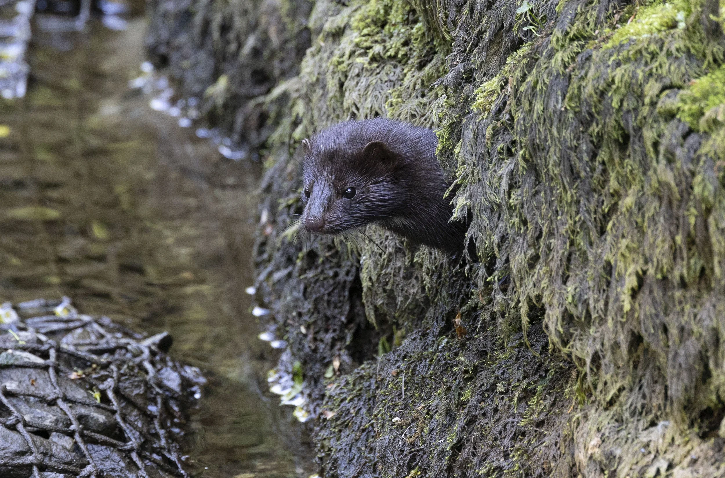 a weekend in the Lake District — Graham Catley Photography