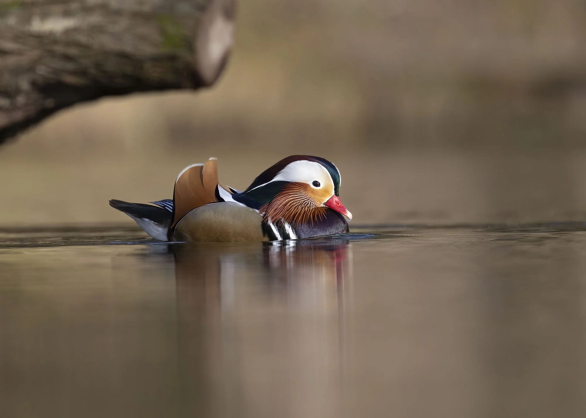 Latest — Graham Catley Photography