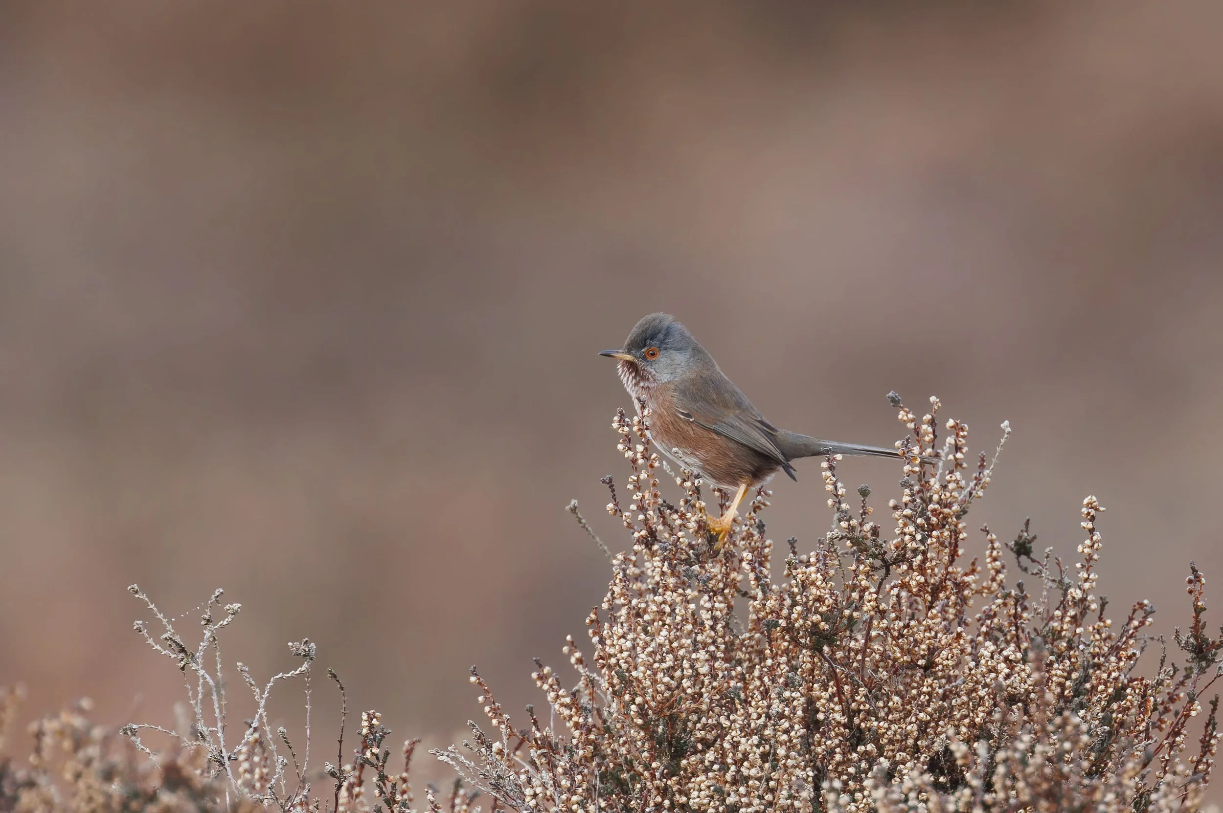 Latest — Graham Catley Photography