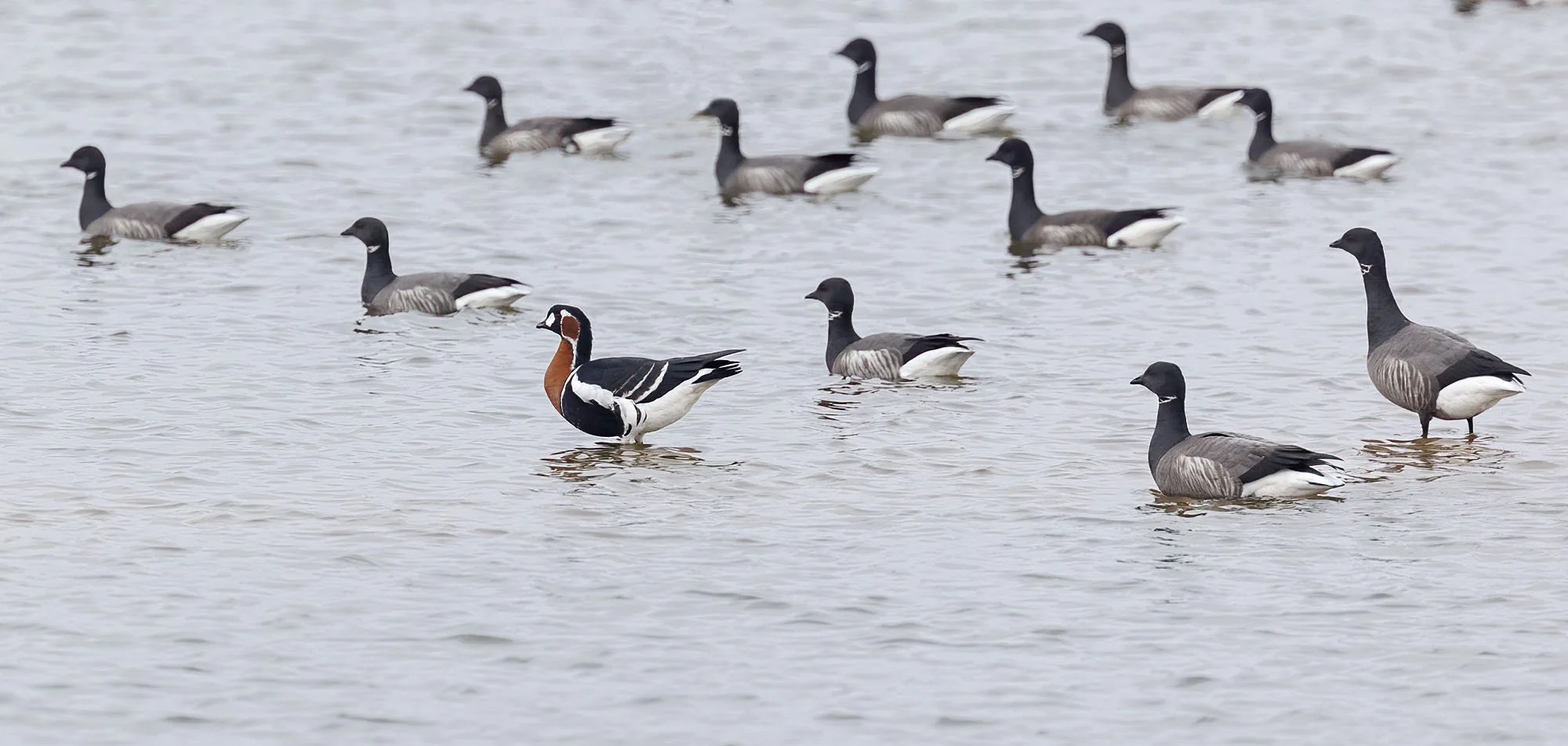 Latest — Graham Catley Photography