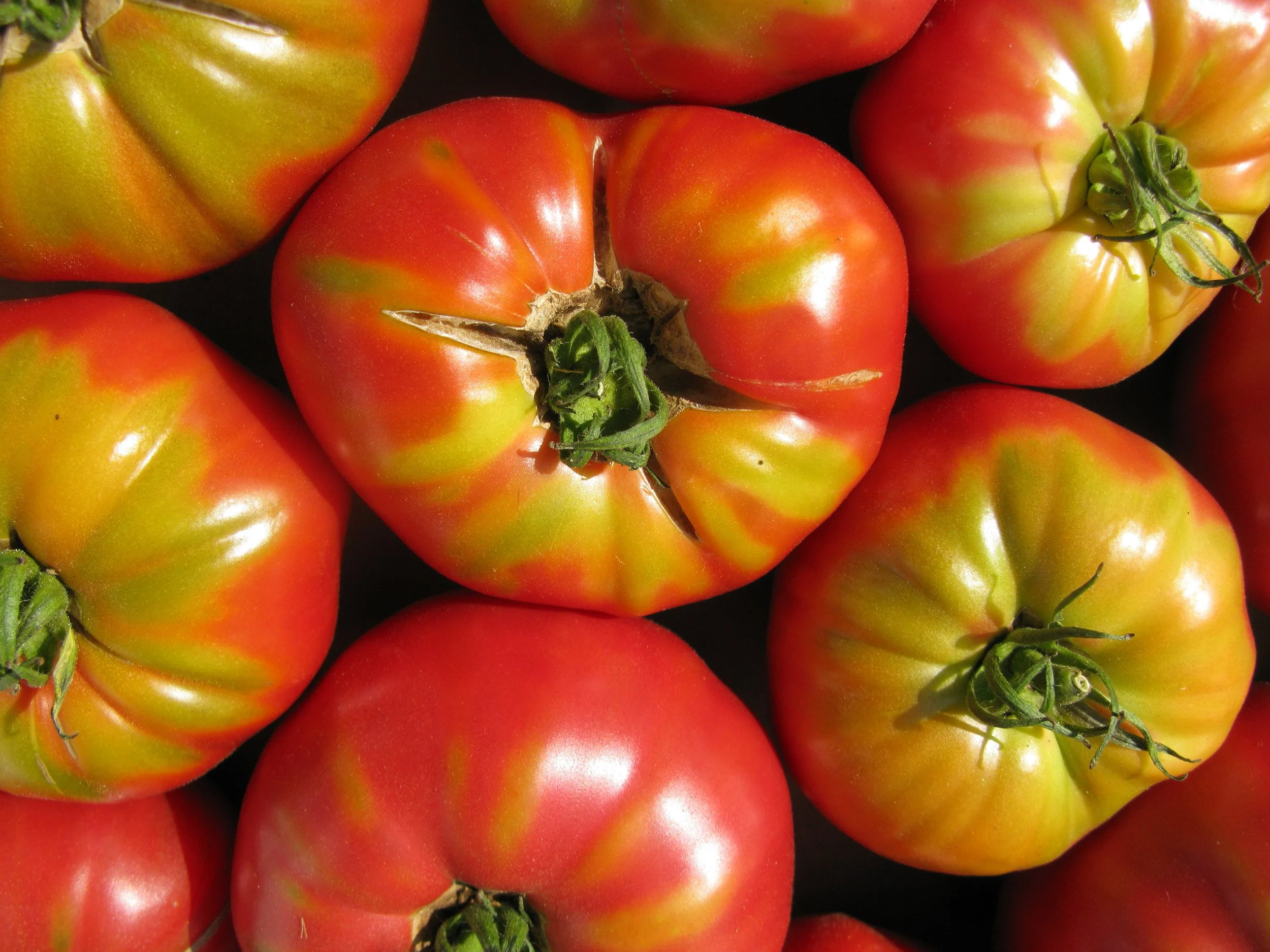 Menu — In Season® | Harvest Kitchen