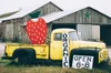 Farmstand — Swanton Berry Farm
