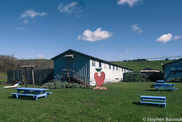 Farmstand — Swanton Berry Farm