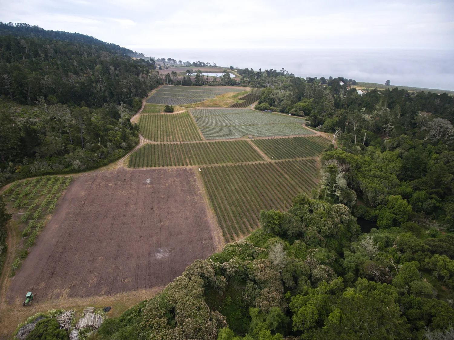 About us — Swanton Berry Farm