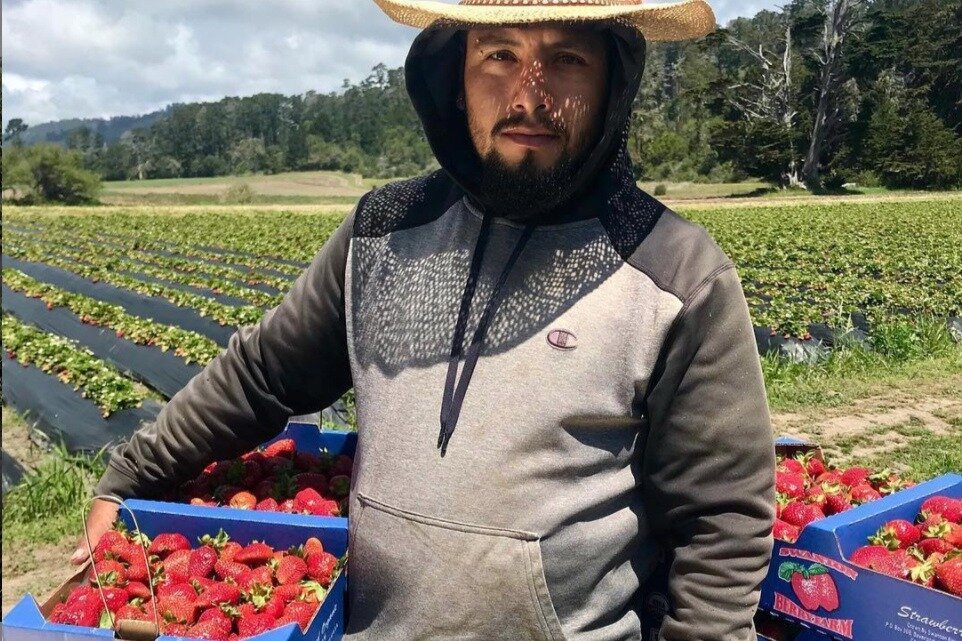 About us — Swanton Berry Farm