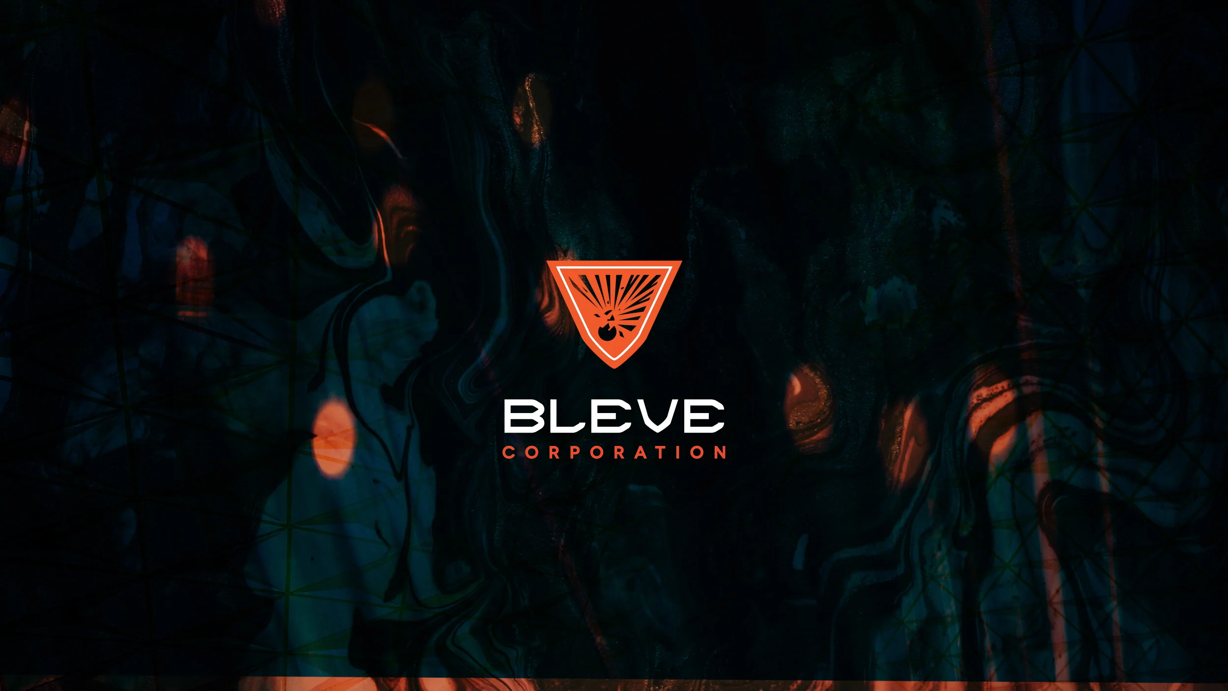 BLEVE Corporation Branding — Mary Struble Design