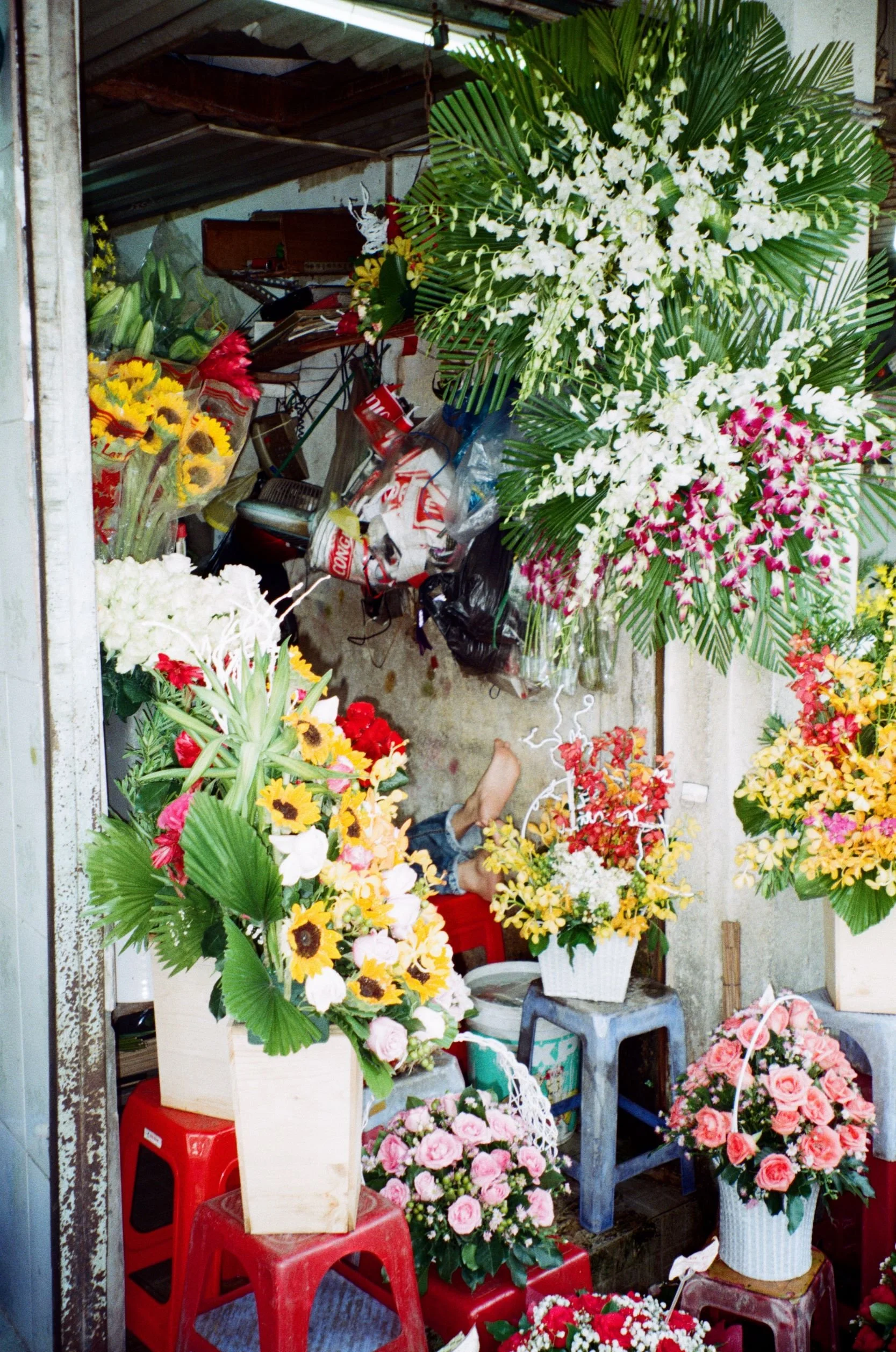 Gallery 2 — Bobby Oliver