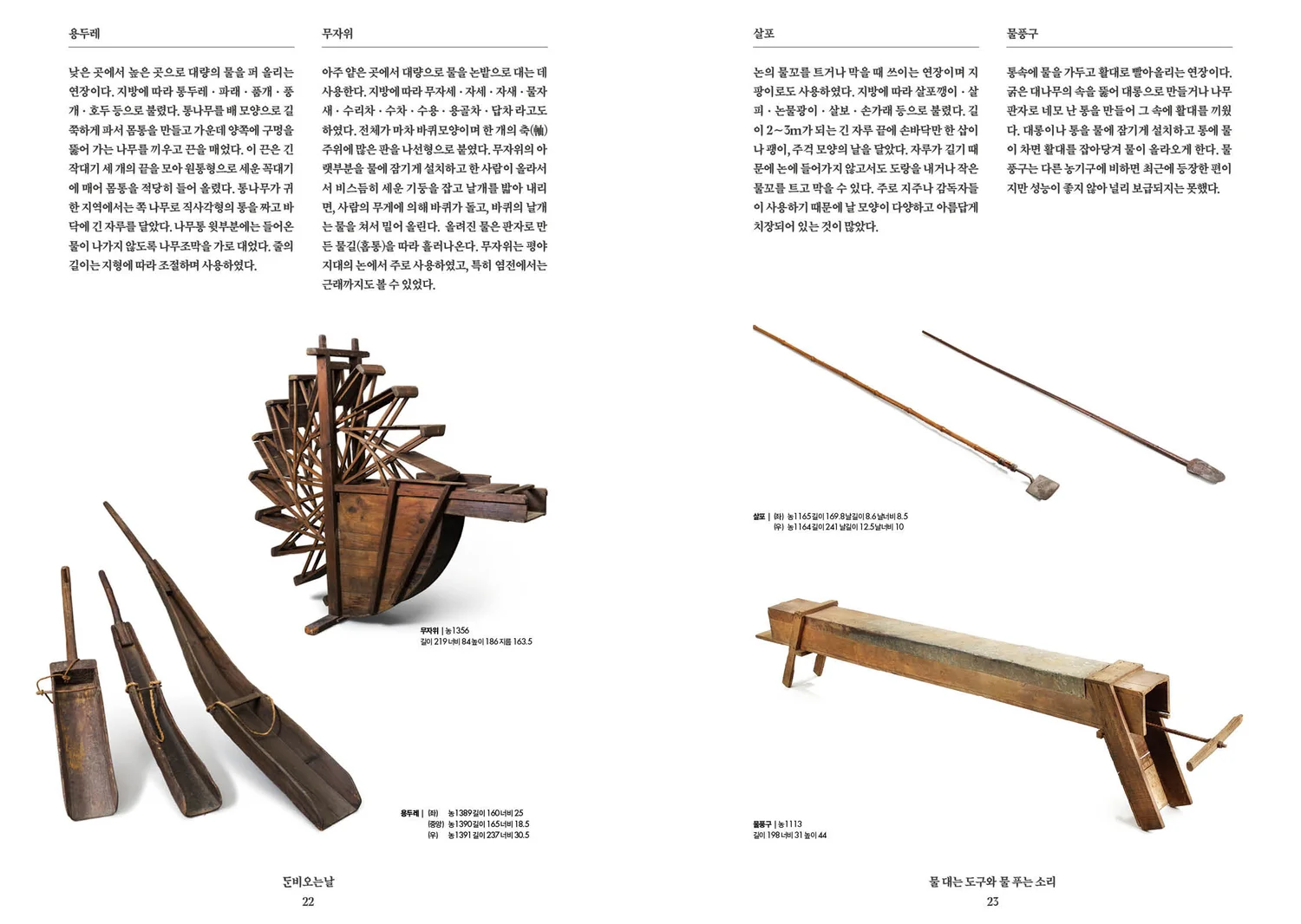 DANBI Day — Ordinary People