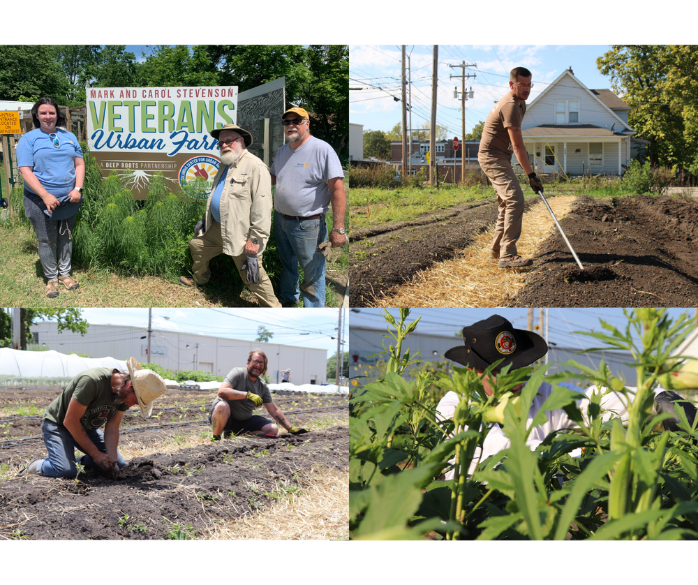 Celebrating Women Veterans Appreciation Day with CCUA’s New Veterans ...