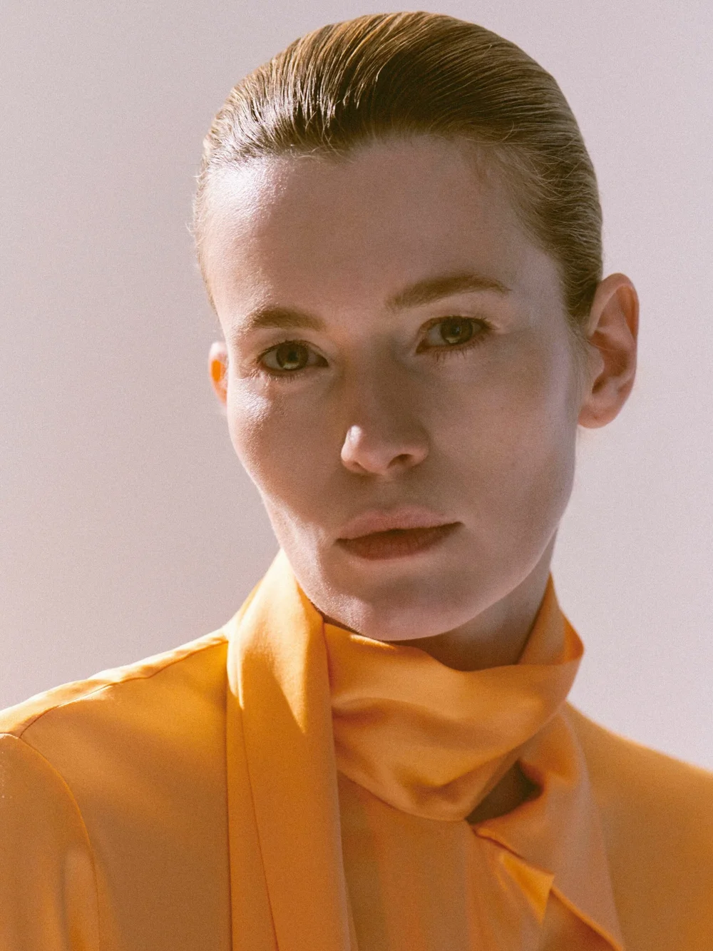 Mainboard — Story Model Management