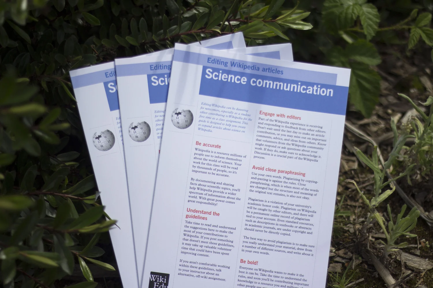Technical Writing — Cassidy Villeneuve