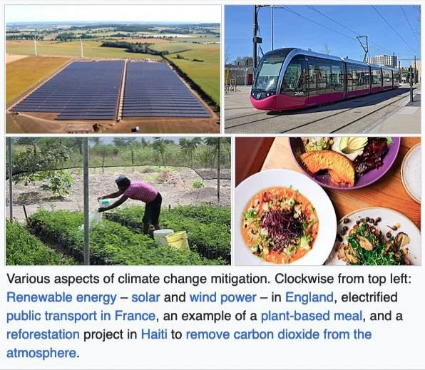 10 Best Practices in Climate Communications — Cassidy Villeneuve
