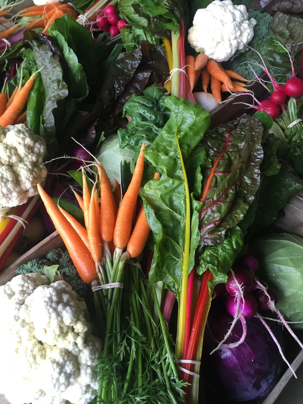 Store 1 — Season's Bounty Farm