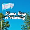 Trans Day of Visibility! — Brave Trails