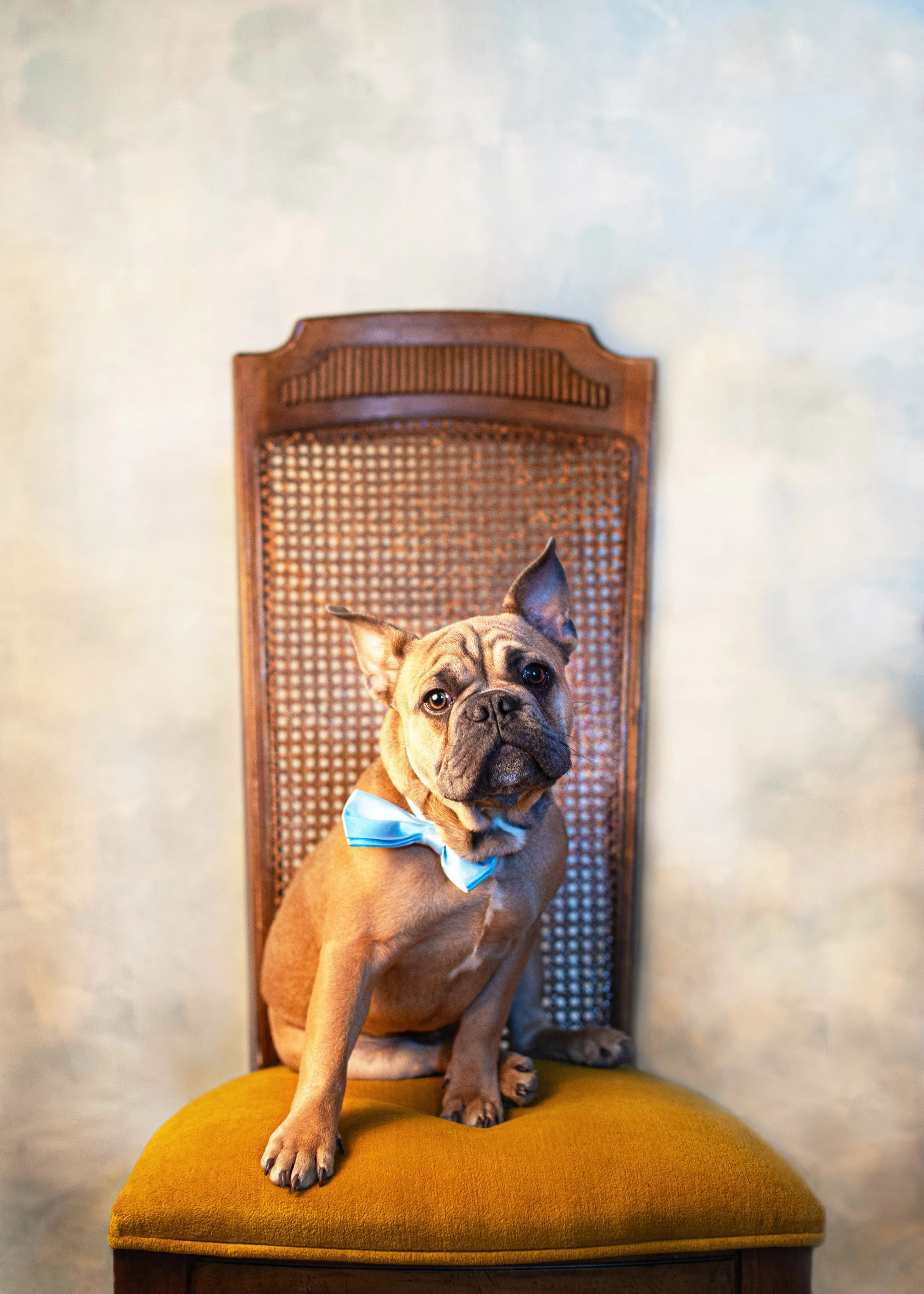 Victoria BC Photography - Christine Roulston Photography