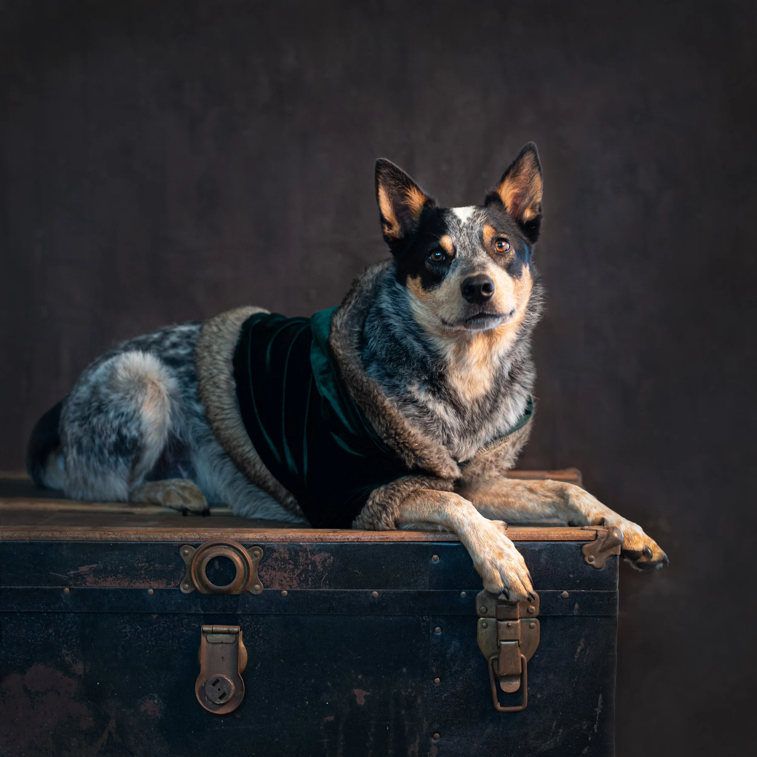 Victoria BC Photography - Christine Roulston Photography