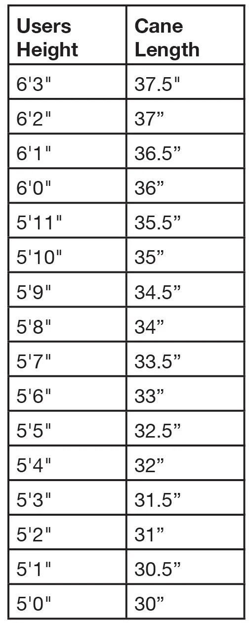 About — Chaplin cane