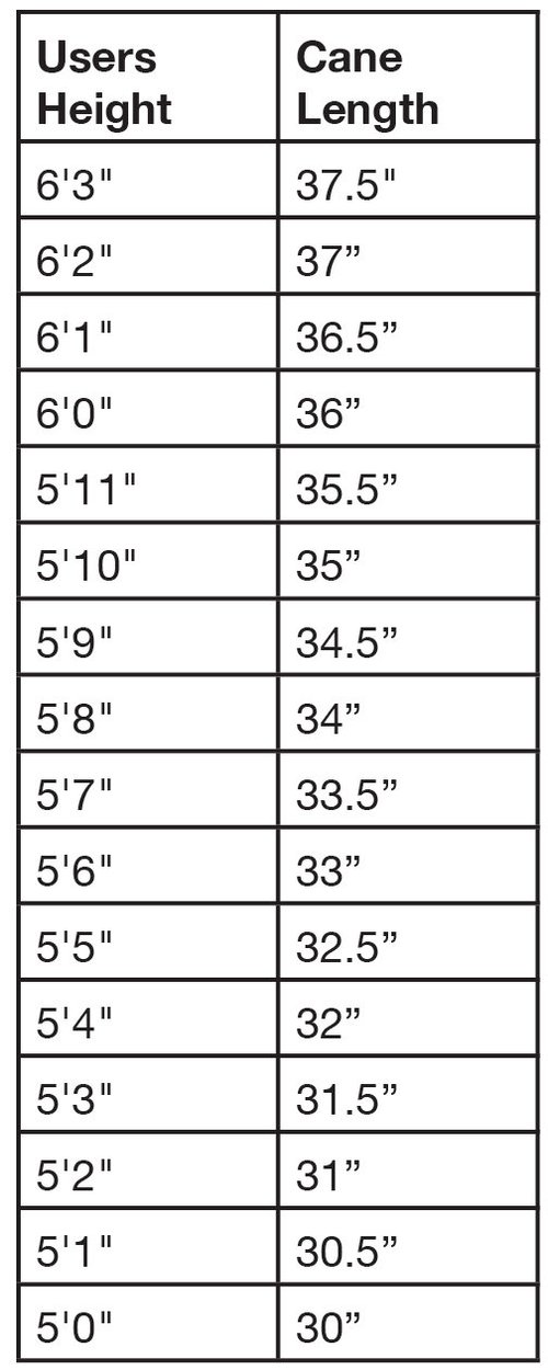 About — Chaplin cane