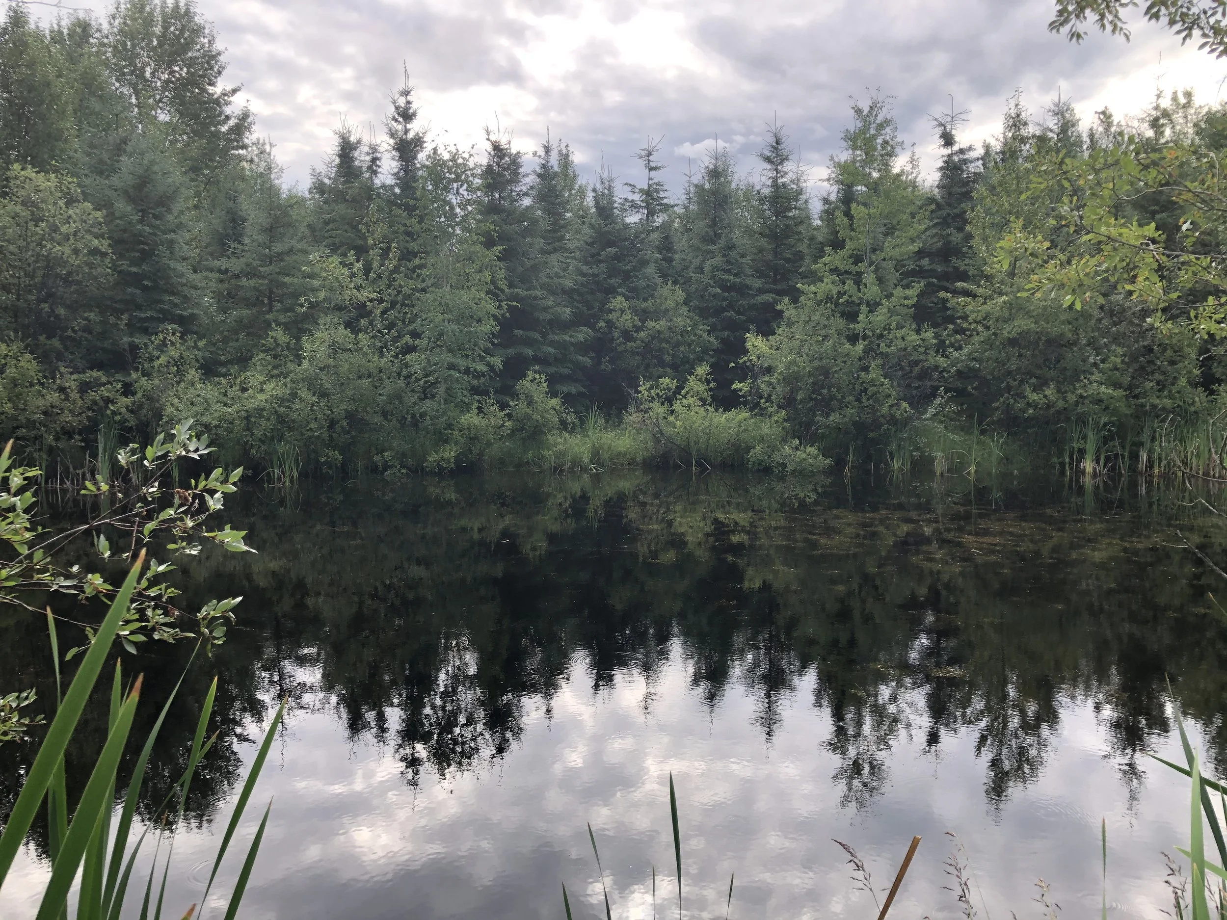 General 1 — theHive