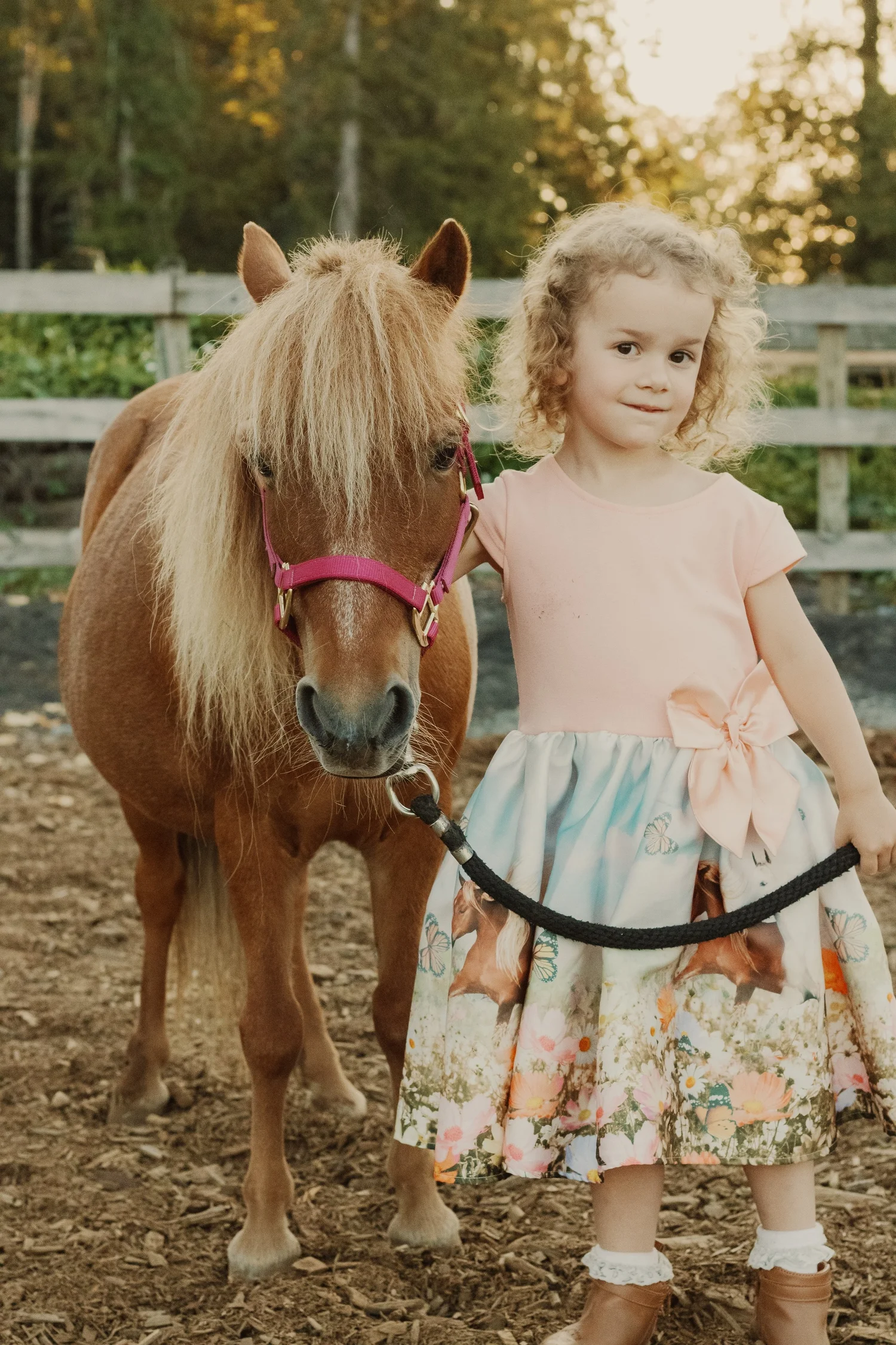 Riding Programs — A&T Equestrian