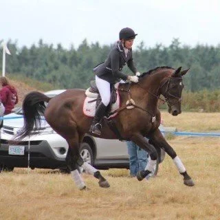 Shop — A&T Equestrian