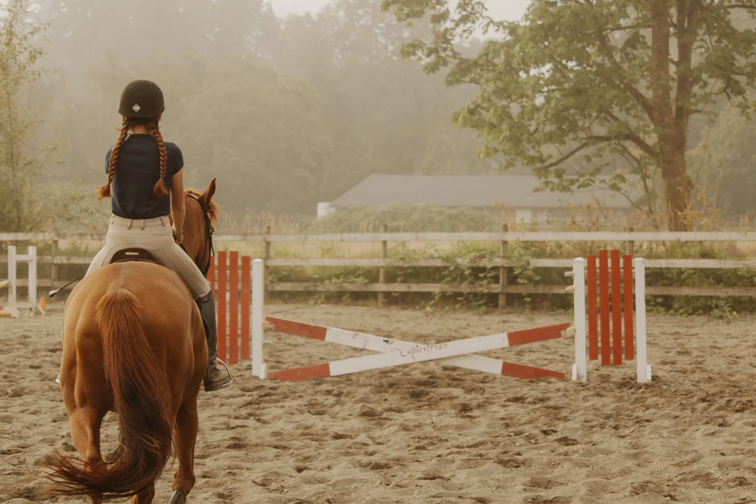 Shop — A&T Equestrian
