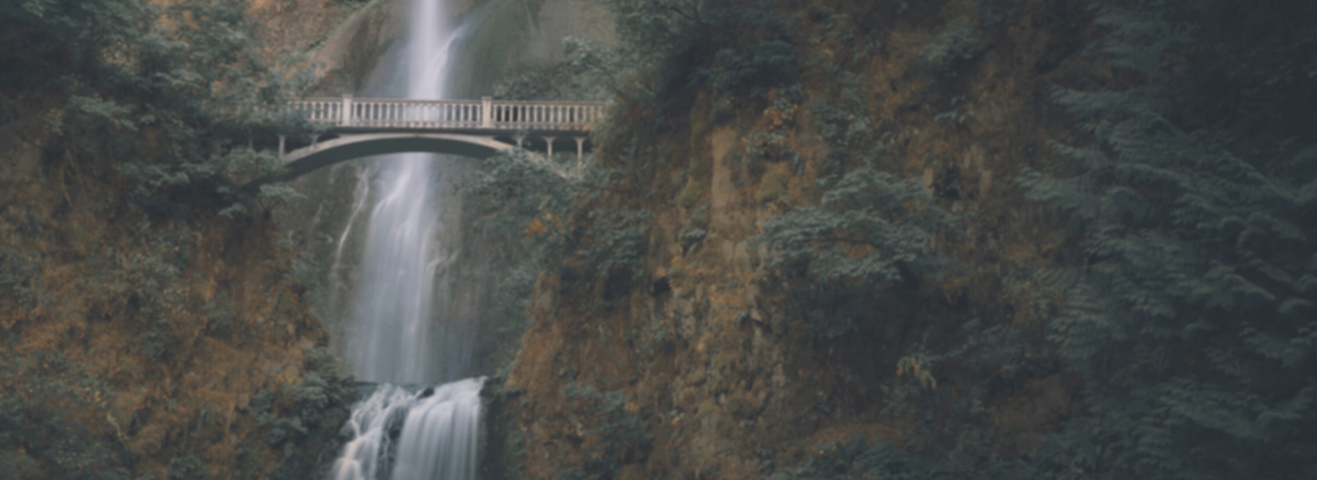 About — Ann Spataro LCSW