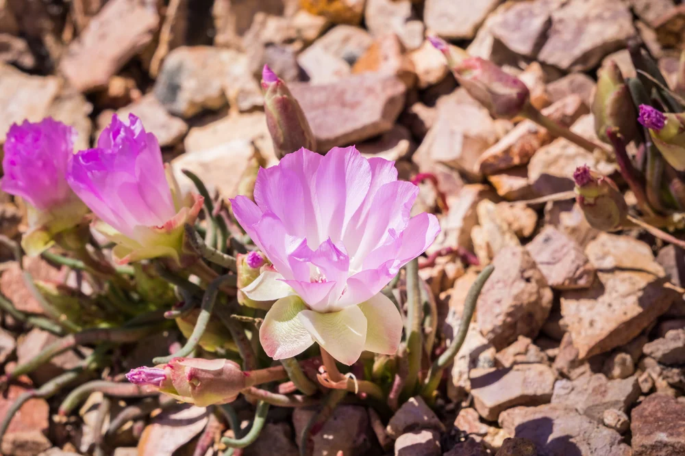 About — Bitter Root Brewing