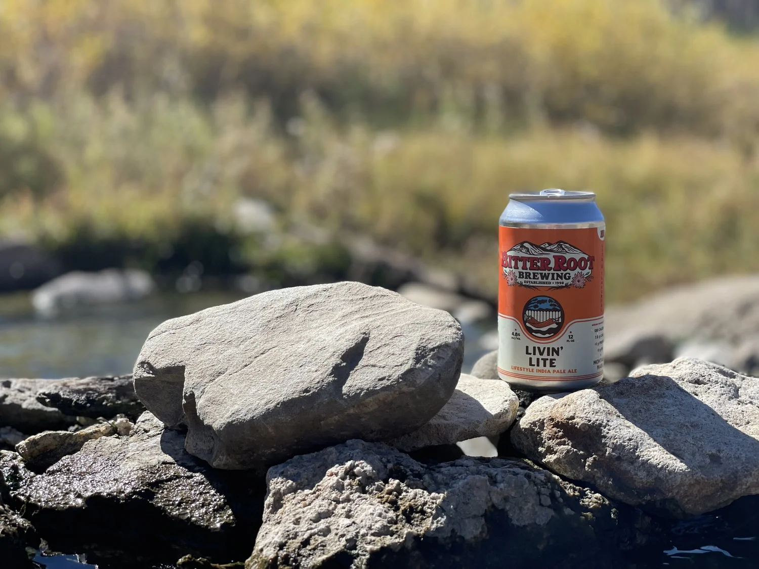 Store 1 — Bitter Root Brewing