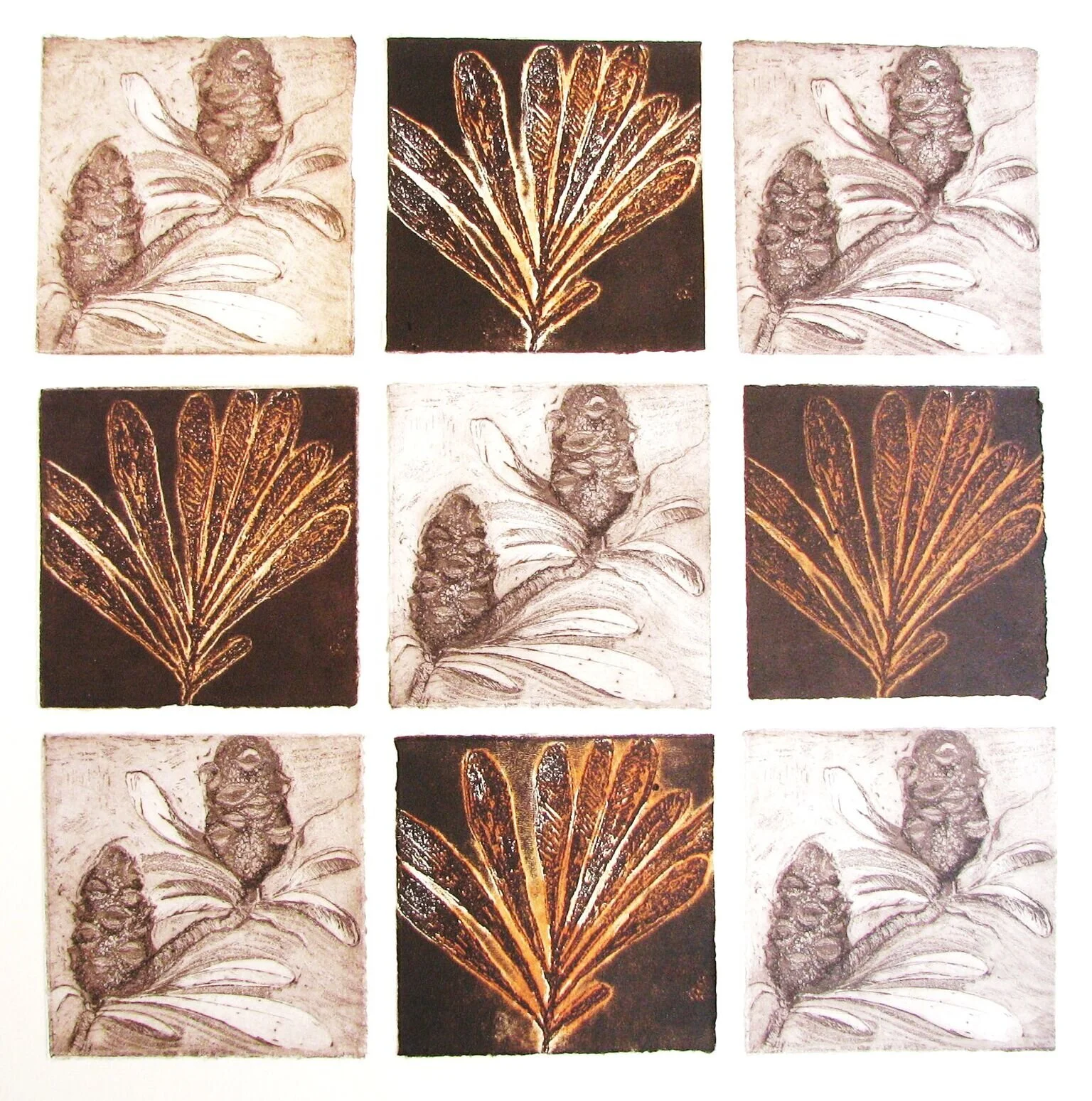 ETCHING — JO HOLLIER - ARTIST AND PRINTMAKER