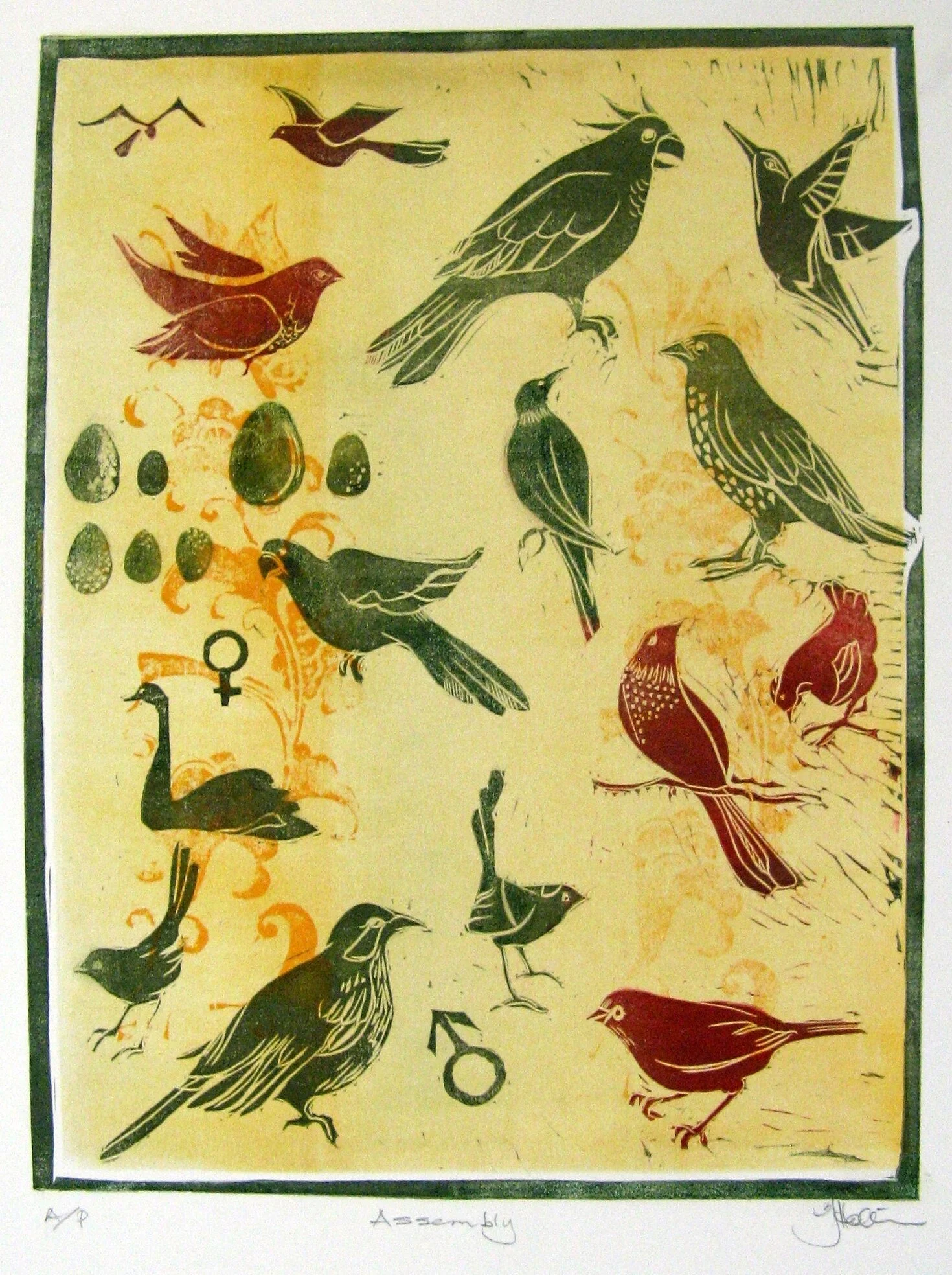 RELIEF PRINTS — JO HOLLIER - ARTIST AND PRINTMAKER