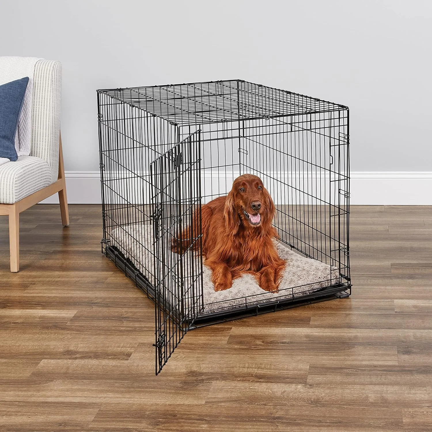 Puppy Supplies | Shop Quality Puppy Supplies Today — Sandy Creek ...
