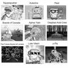 IDM — IDM Discovery