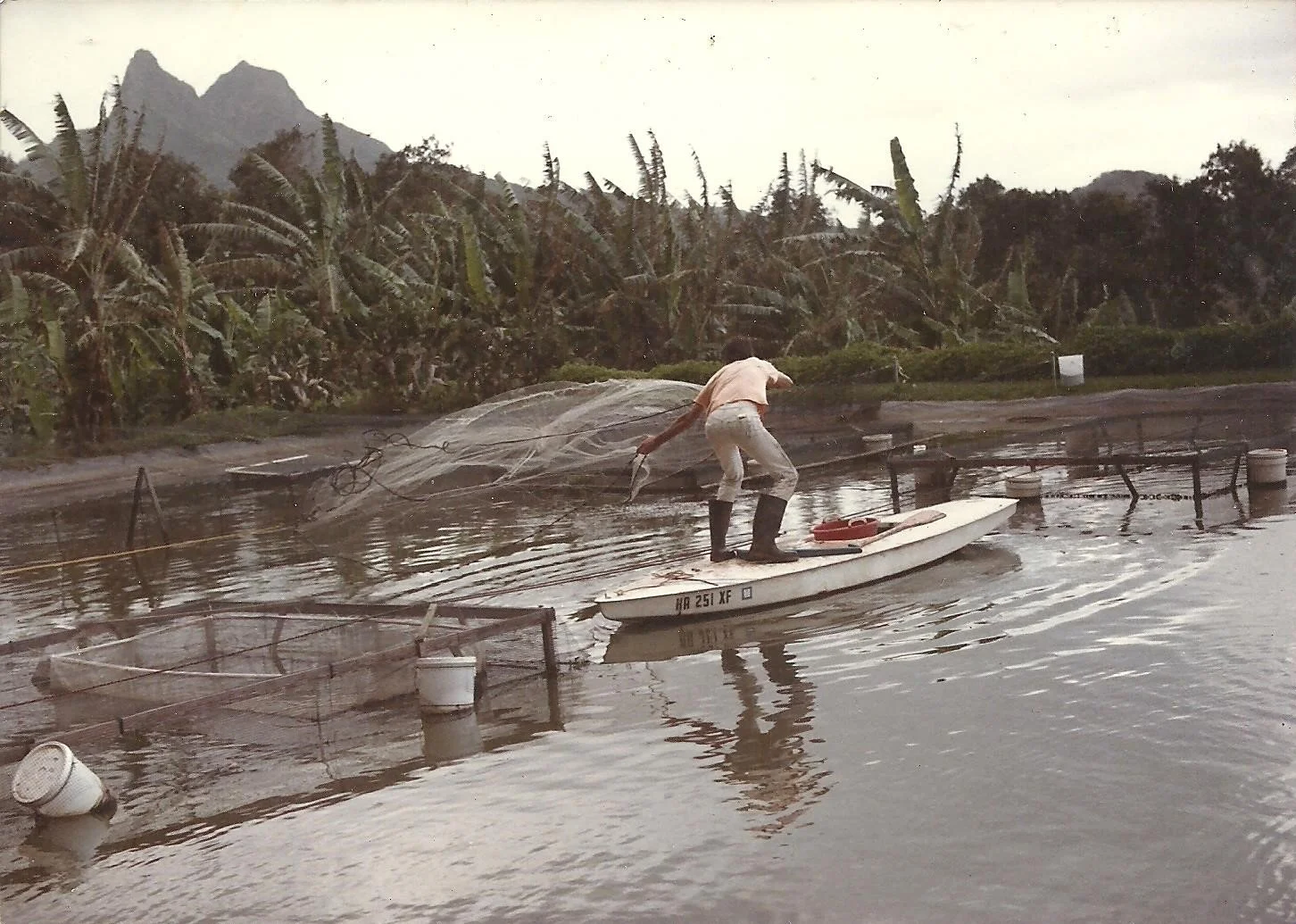 Our Story — Hawaii Fish Company