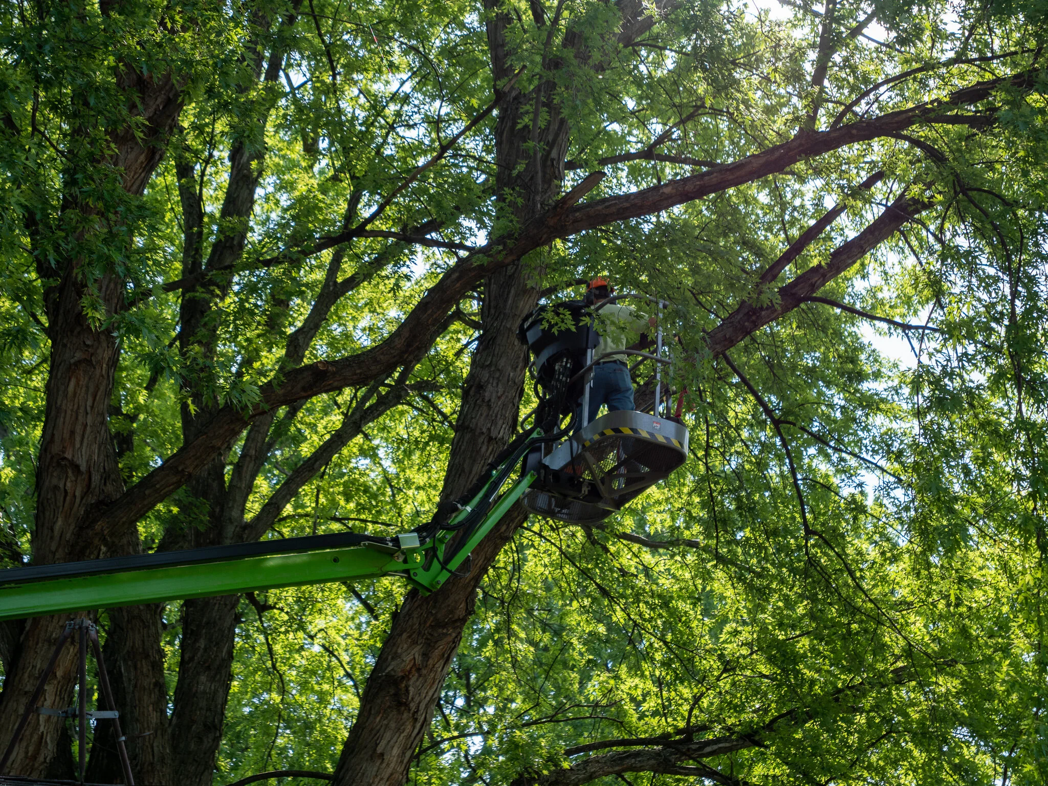 Arbormaster Tree Service | Tree Trimming and Removal in Sioux Falls