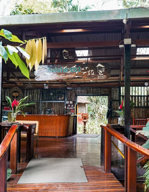 Exploring Peru’s Amazon Rainforest: Our 4 Day Itinerary & Experience ...