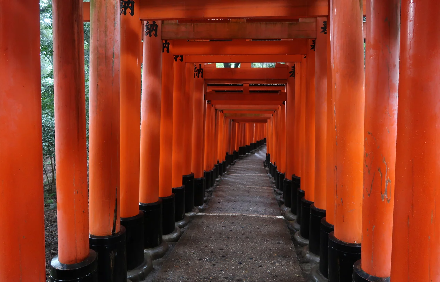 Visiting Fushimi Inari-taisha: The Most Magical Place in Kyoto ...