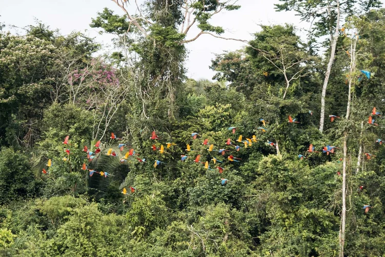 Exploring Peru’s Amazon Rainforest: Our 4 Day Itinerary & Experience ...